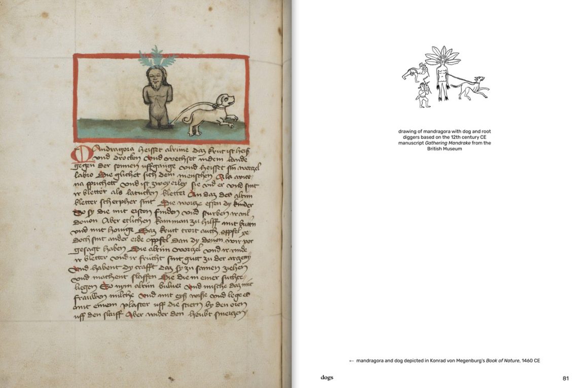 Three Becomes Two Becomes One Becomes None | Onomatopee